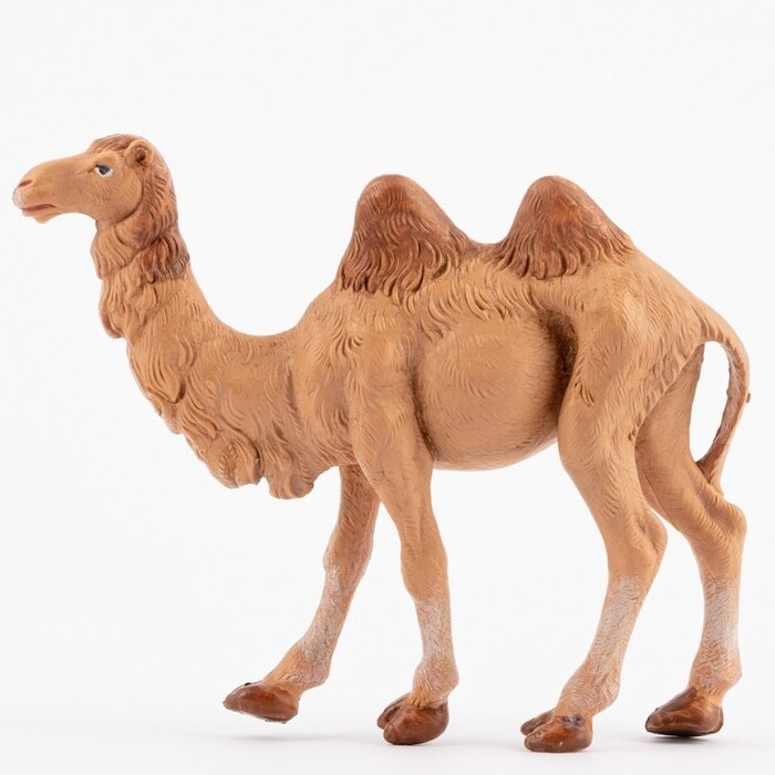 VELBLOUD 55 :: LITURGICKYAPOSTOLAT