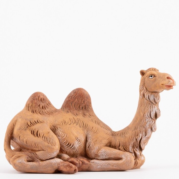 VELBLOUD LEŽÍCÍ 56 :: LITURGICKYAPOSTOLAT